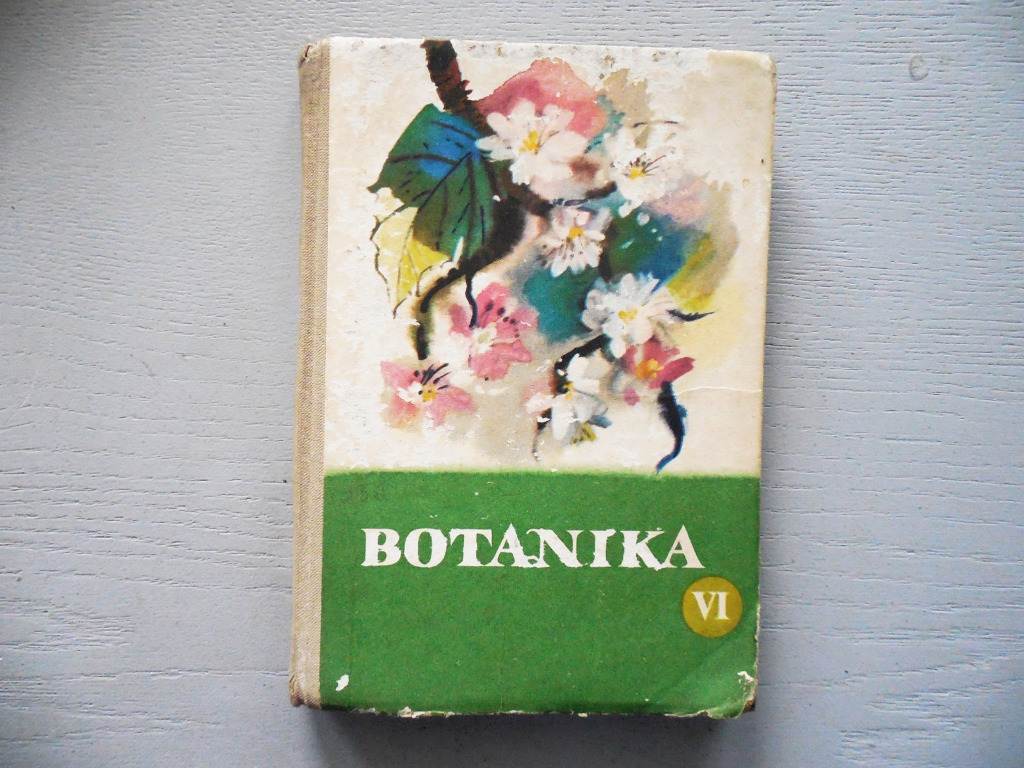 Botanika VI Podgórska podręcznik PRL 1966 | Warszawa | Licytacja na Allegro Lokalnie