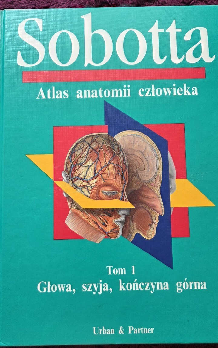 Sobotta Atlas anatomii człowieka | Warszawa | Ogłoszenie na Allegro ...