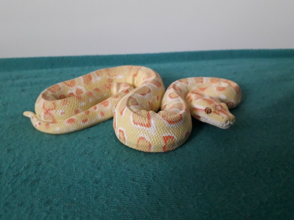 Pyton Birmański figurka Safari Ltd. | Opacz-Kolonia | Kup teraz na ...