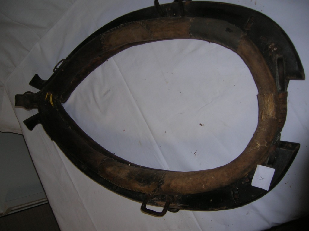 Homonto dla konia | Brok | Kup teraz na Allegro Lokalnie