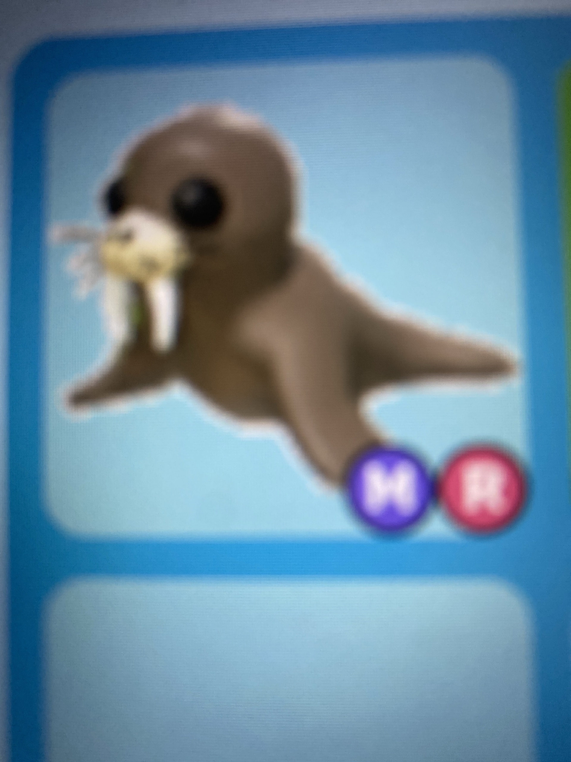 Mega ride walrus adopt me roblox | Lodz | Kup teraz na Allegro Lokalnie