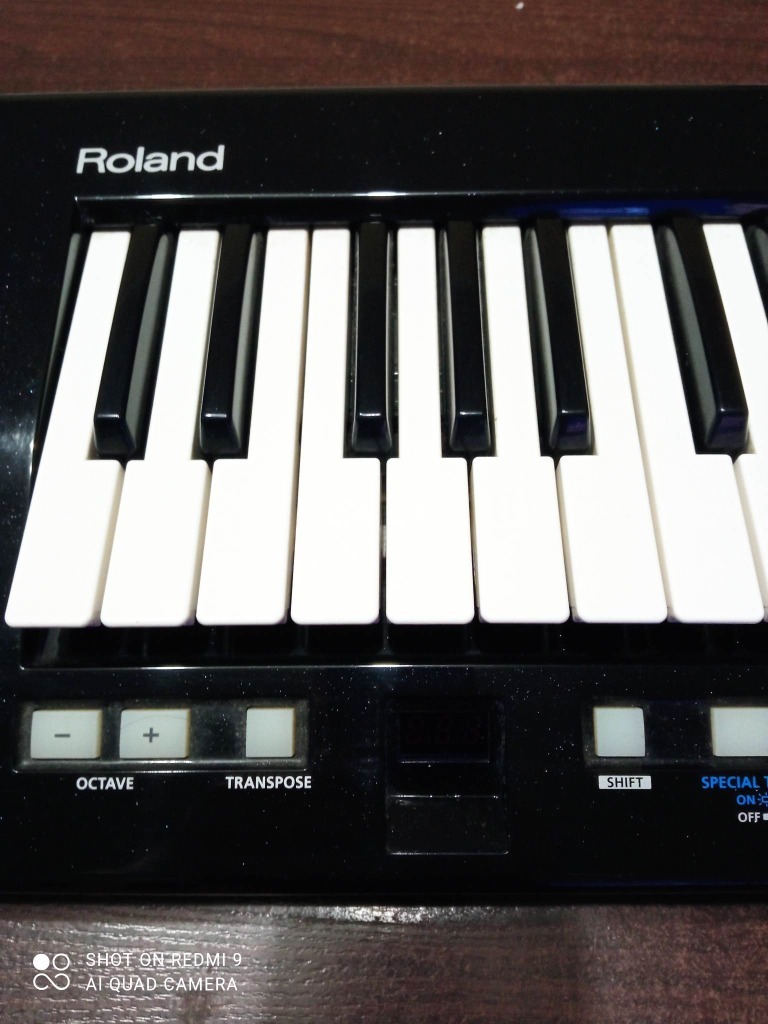 Roland AX-09 Lucina | Grodzisk Mazowiecki | Kup teraz na Allegro Lokalnie