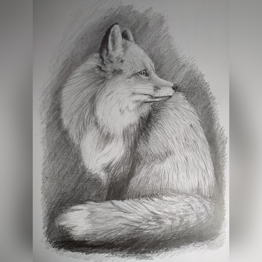 obrazek, rysunek A3, lis | Siedlce | Kup teraz na Allegro Lokalnie