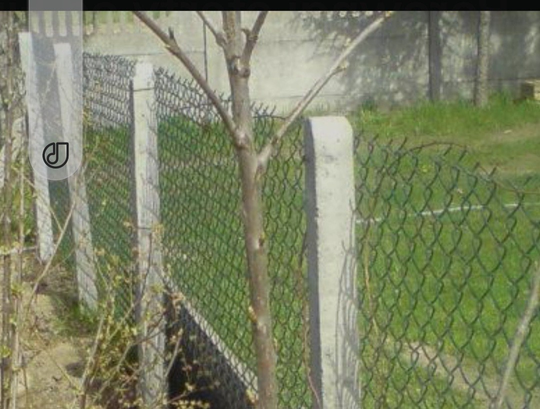 Słupki betonowe do siatki i drzewek | Jeżów | Ogłoszenie na Allegro Lokalnie