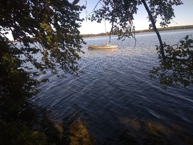 Łódka Omega - Niska cena na Allegro.pl