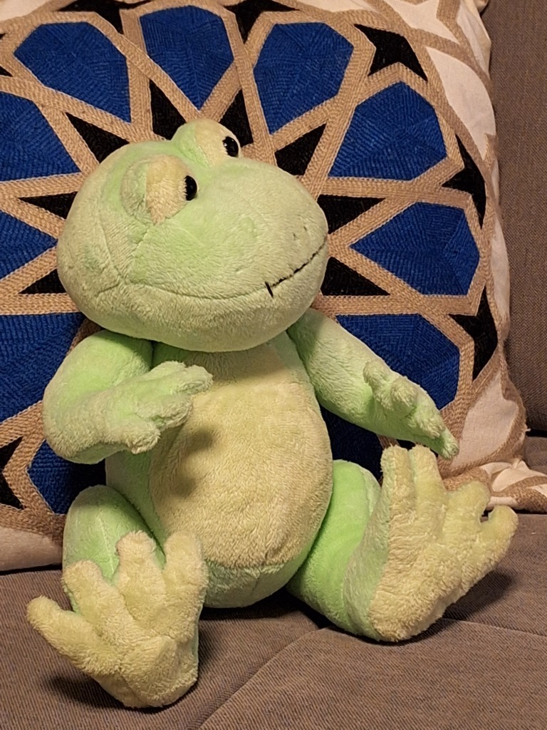 Charlie Bear Frederick Frog Żaba 30 cm | Kraków | Kup teraz na Allegro Lokalnie