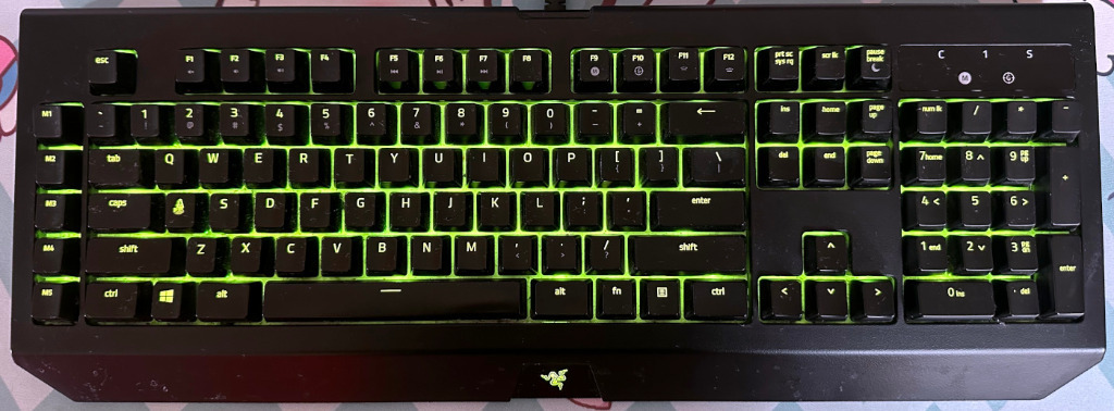 Razer Blackwidow V2 Mechaniczna - Niska cena na Allegro.pl