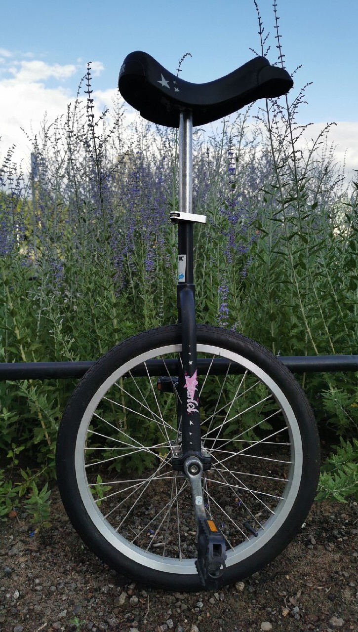 Rower jednokołowy monocykl KETTLER Starlet | Warszawa | Kup teraz na ...