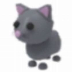 Cat! Adopt me! | Łomianki | Kup teraz na Allegro Lokalnie