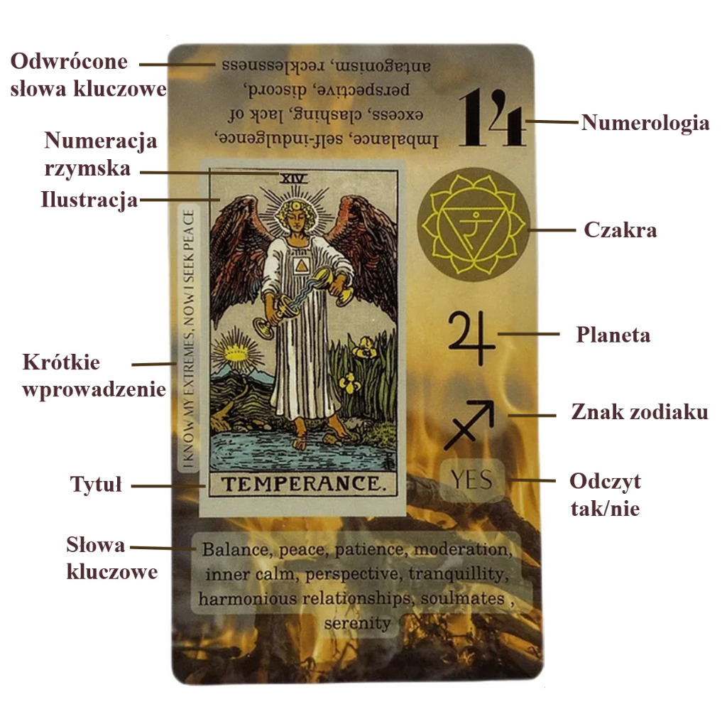 Karty Tarota do nauki z opisami Learning Tarot | Warszawa | Kup teraz ...