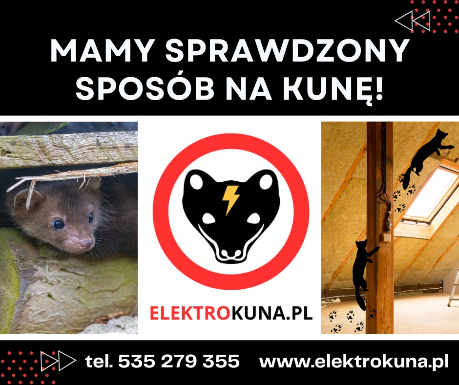 Pastuch elektryczny ELEKTROKUNA PL Firma zwalczająca kuny | Kołobrzeg | Ogłoszenie na Allegro ...