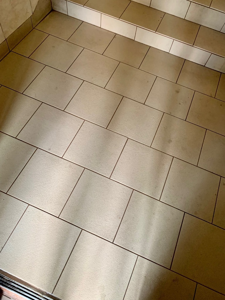 Motorscrubber MS2000 JET + do schodów Szorowarka | Gdynia | Ogłoszenie ...