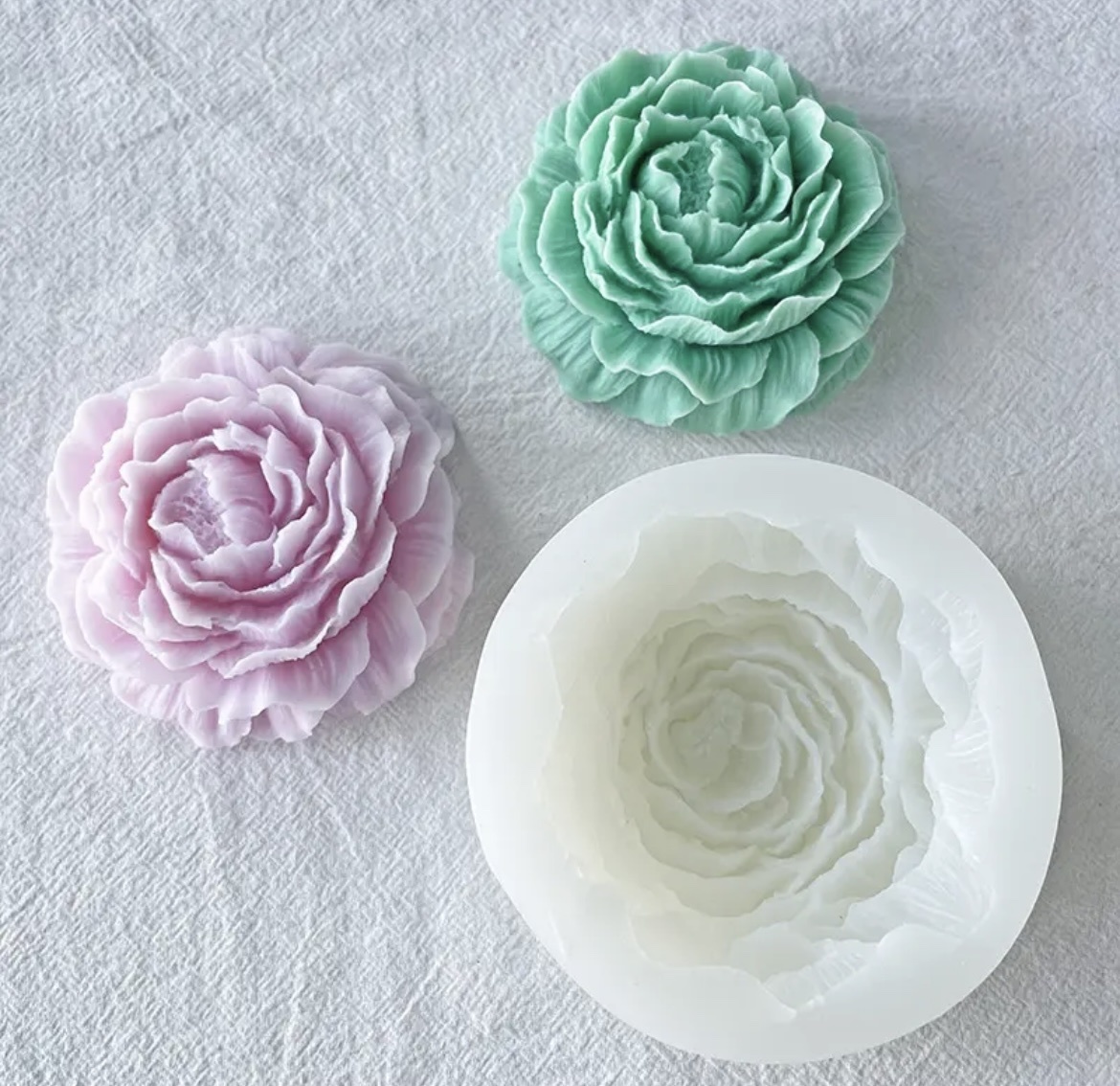 Piwonia Forma - Niska cena na Allegro.pl