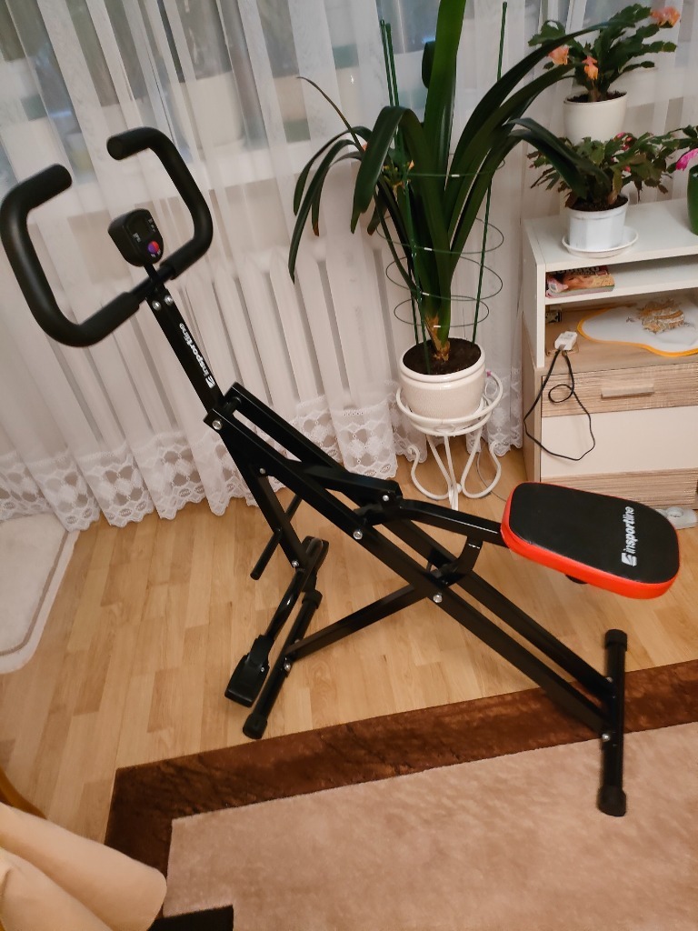 Trenażer / Wzmacniacz ciała inSPORTLine AB Rider | Skawina | Kup teraz ...