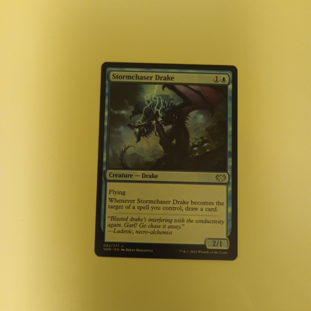 Stormchaser Drake MTG blue | Warszawa | Kup teraz na Allegro Lokalnie