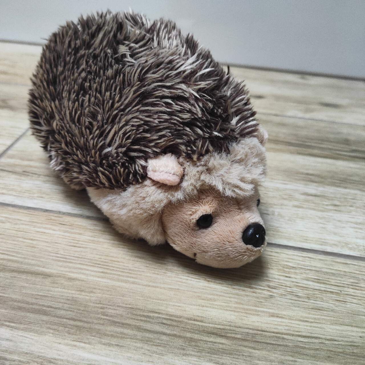 Gang Słodziaków JEŻ | Zabrze | Kup teraz na Allegro Lokalnie