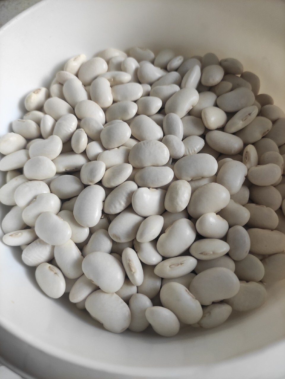 Groch Jaś - Niska cena na Allegro.pl