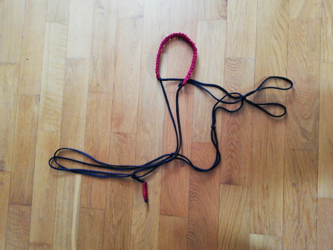 Halter dla konia FULL | Jaworzno | Kup teraz na Allegro Lokalnie