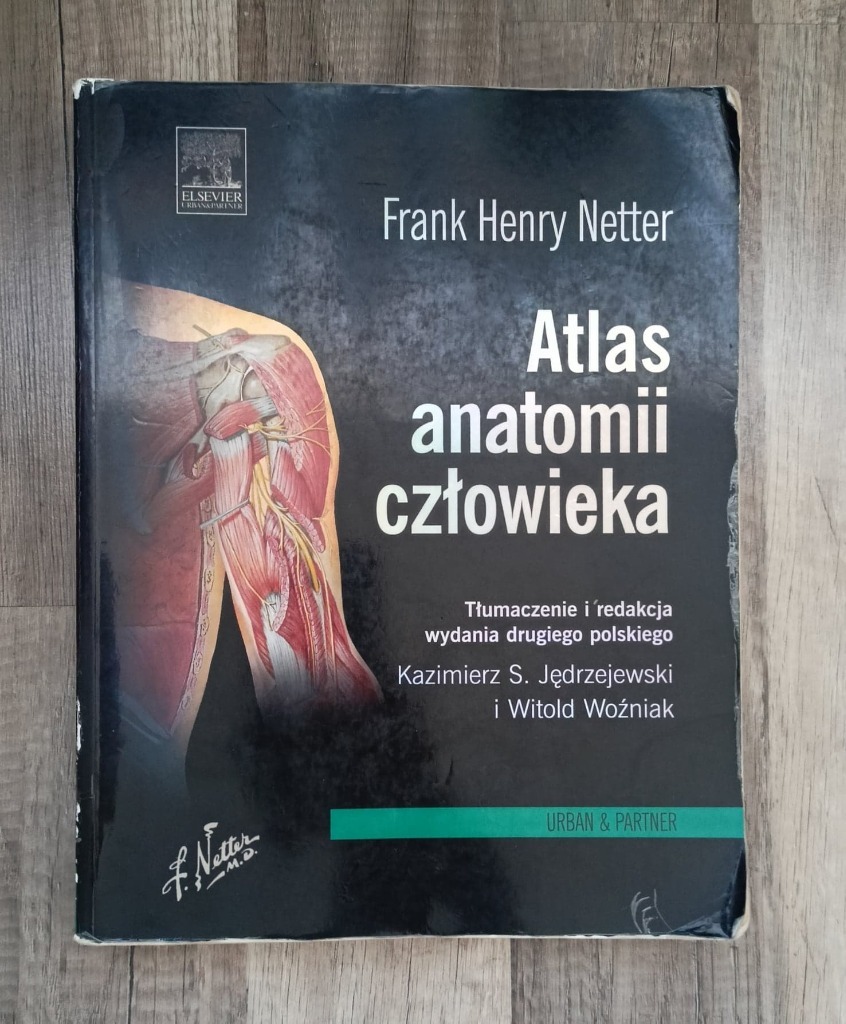 Atlas anatomii netter - Niska cena na Allegro.pl