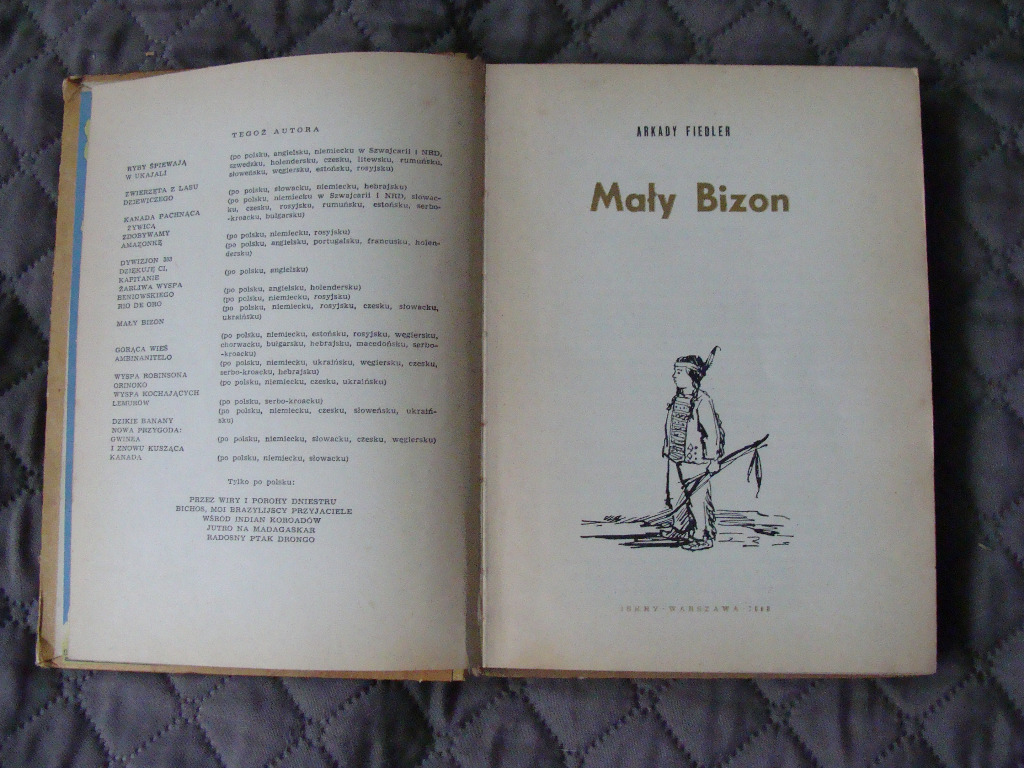 "Mały Bizon" autor Arkady Fidler | Chorzów | Kup teraz na Allegro Lokalnie