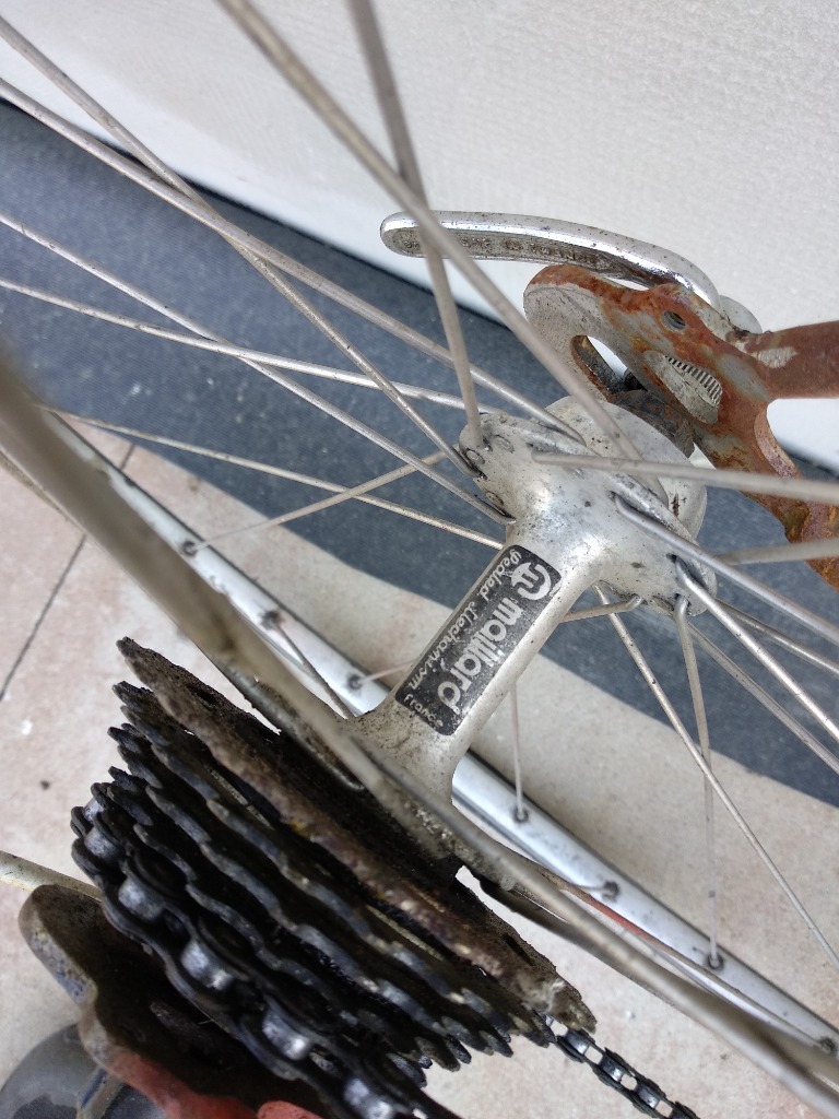 rower szosa STARA DONISELLI made in ITALY | Głogów | Ogłoszenie na ...