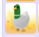 Adopt me Silly duck old pet | Słupsk | Kup teraz na Allegro Lokalnie