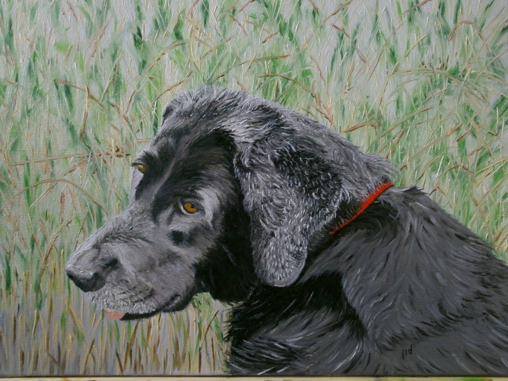 Portret pieska obraz olejny | Hornówek | Kup teraz na Allegro Lokalnie