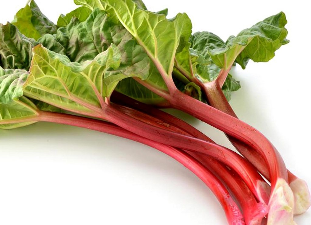 Rabarbar Mali Sadzonki 2 Letnie Karpy | Rawa Mazowiecka | Ogłoszenie na ...