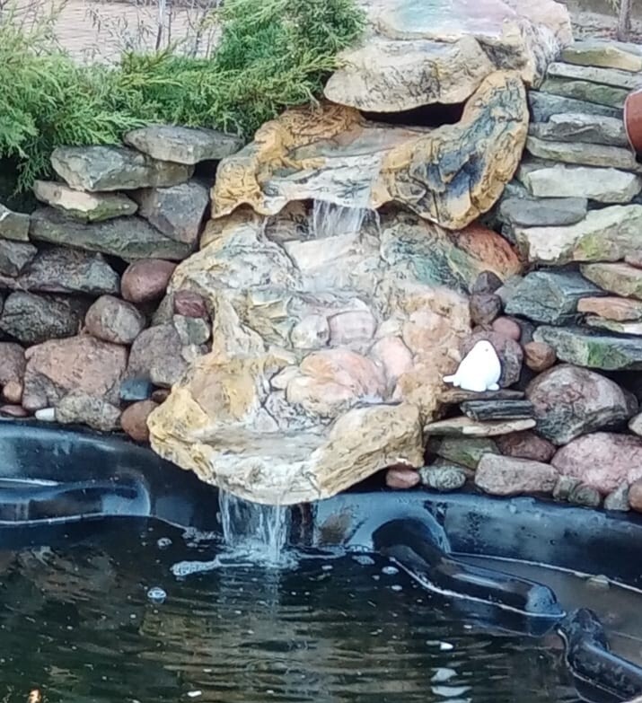 Oczko Wodne z Kaskada - Niska cena na Allegro.pl