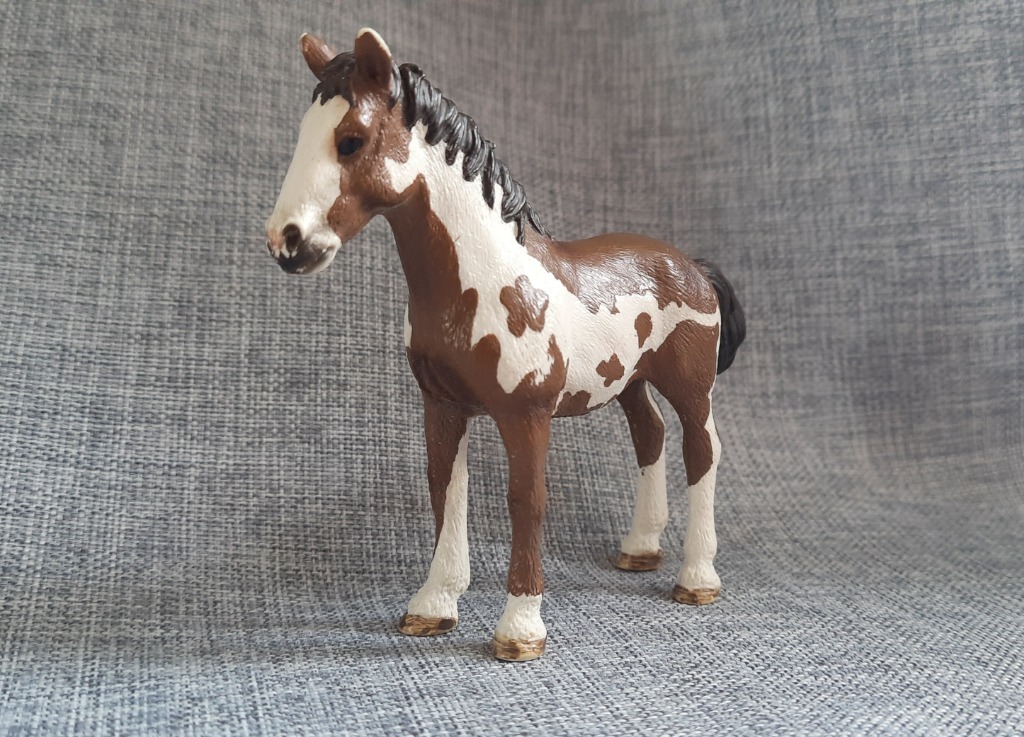 Schleich. Koń rasy pinto, roczniak. Figurka | Sosnowiec | Kup teraz na ... Schleich. Koń rasy pinto, roczniak. Figurka | Sosnowiec | Kup teraz na ...