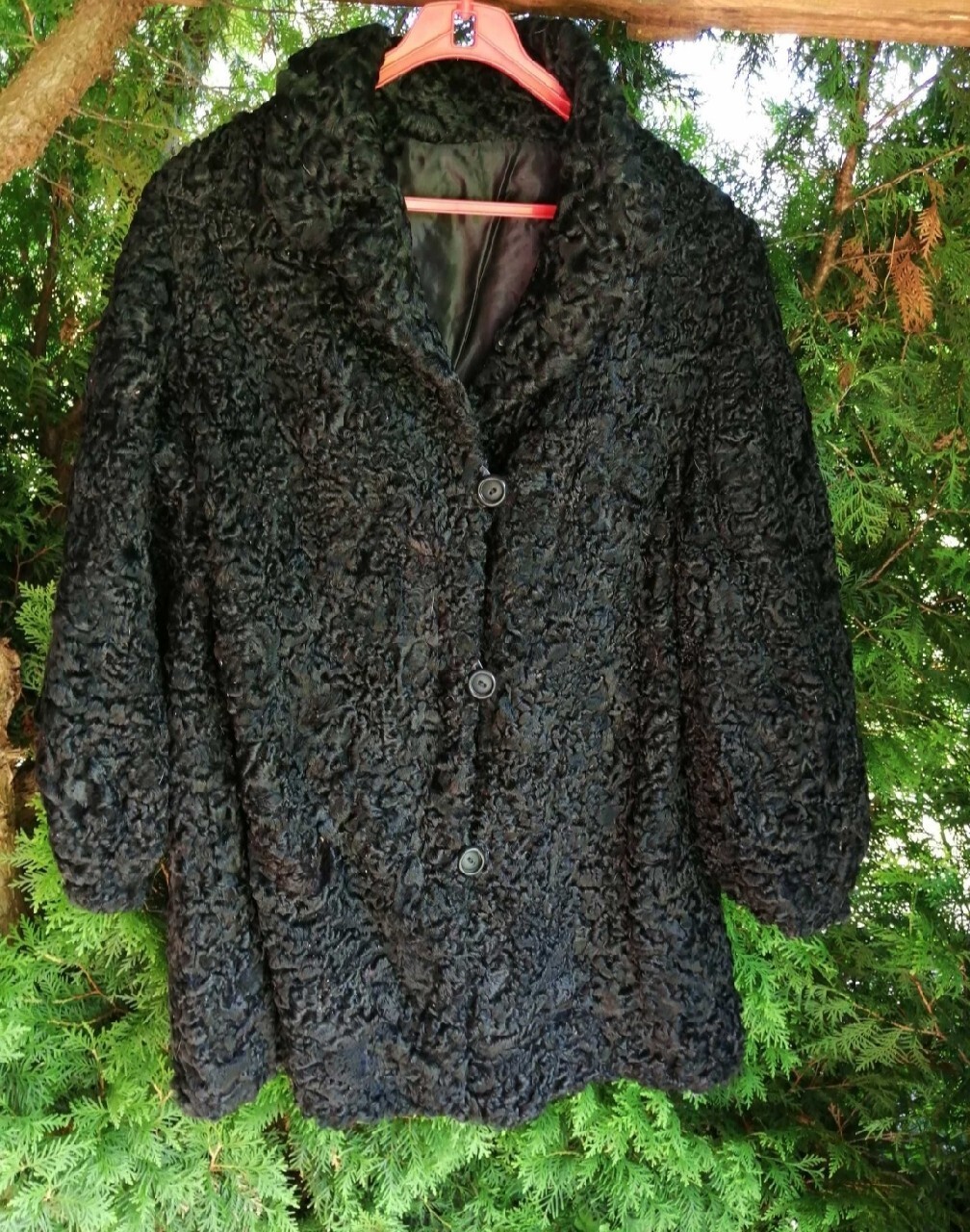 Futro naturalne karakuły | Toruń | Kup teraz na Allegro Lokalnie