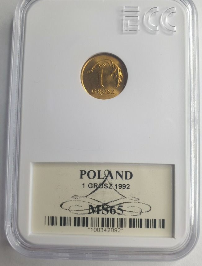 1 grosz 1992 grading GCN MS65 | Gdańsk | Kup teraz na Allegro Lokalnie