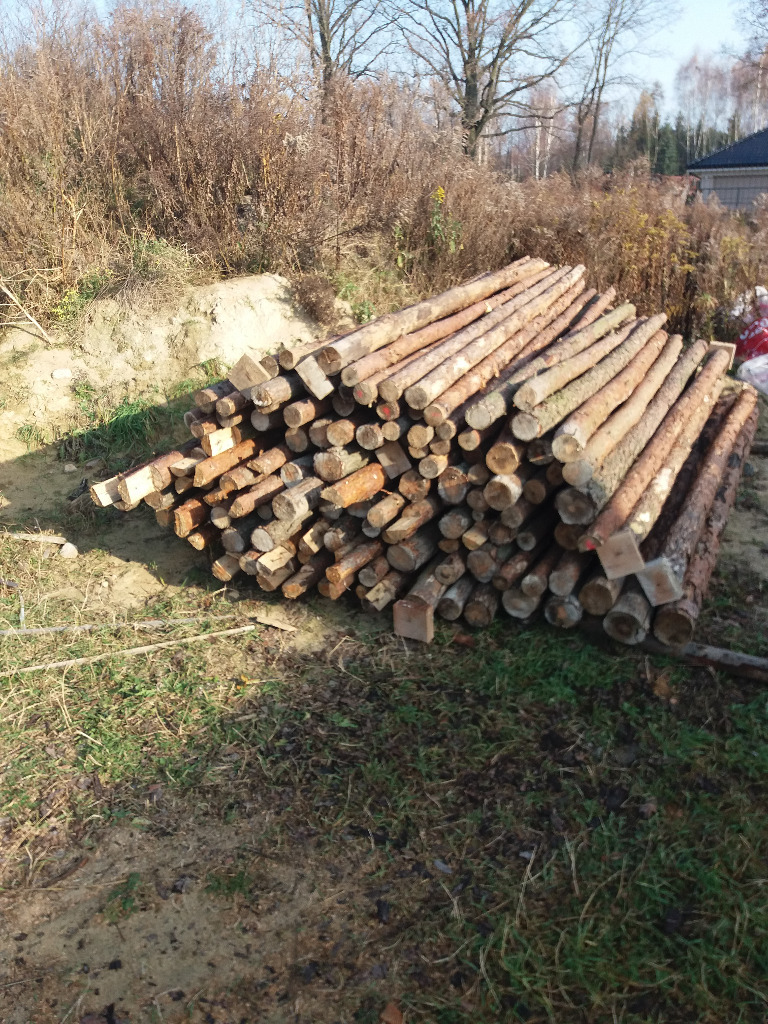 Stemple Budowlane Drewniane ok. 3m | Rąbień AB | Ogłoszenie na Allegro ...