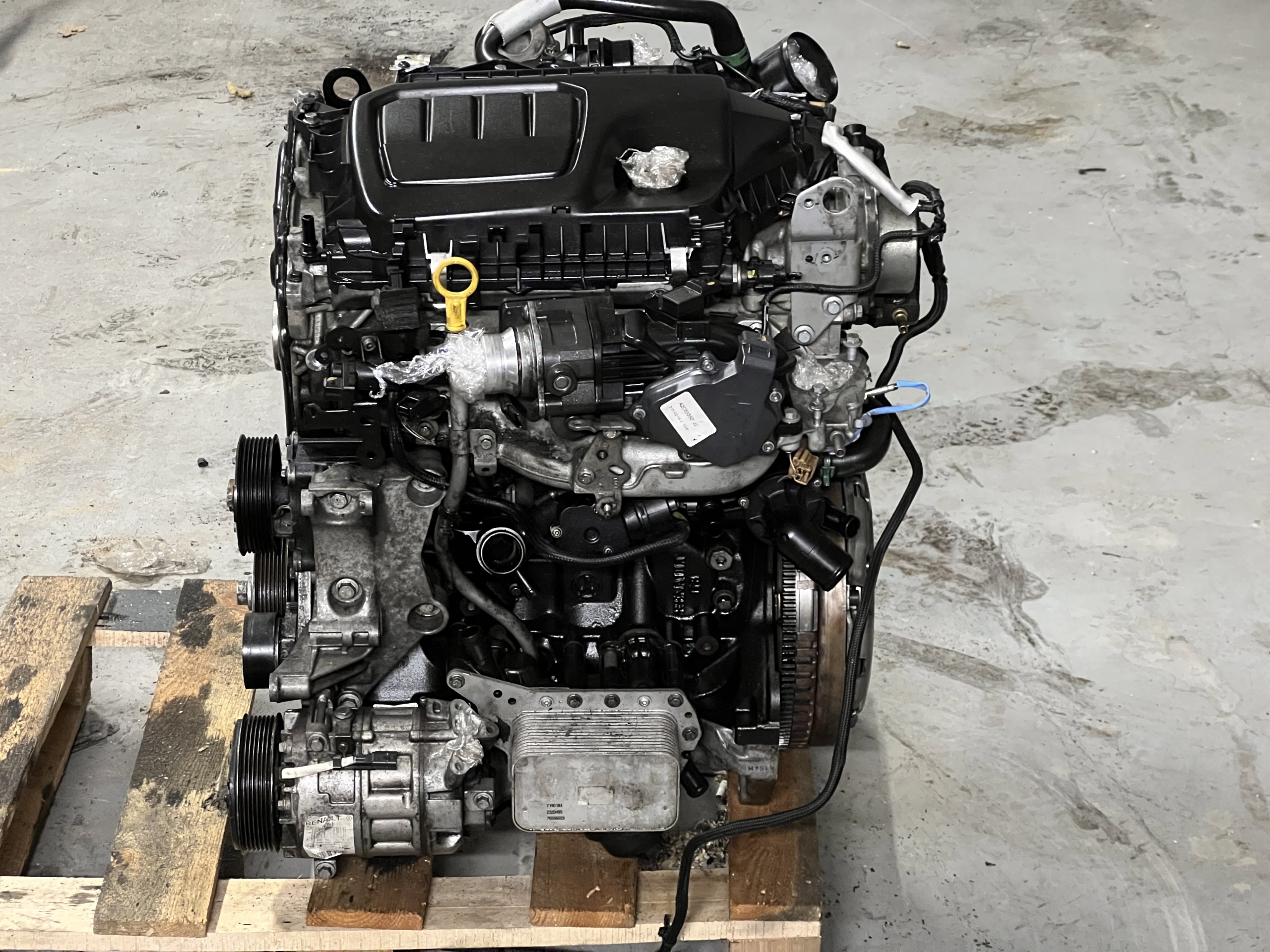 Silnik 1 6 dci R9M E 409 kompletny scenic IV | Lubomierz | Kup teraz na ...