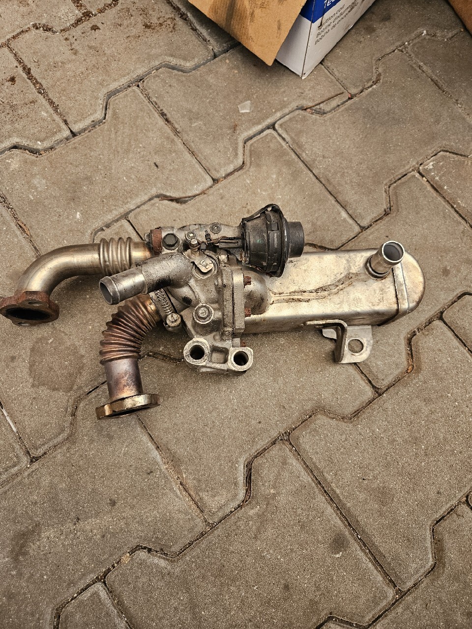 Chłodnica Egr Nissan - Niska cena na Allegro.pl