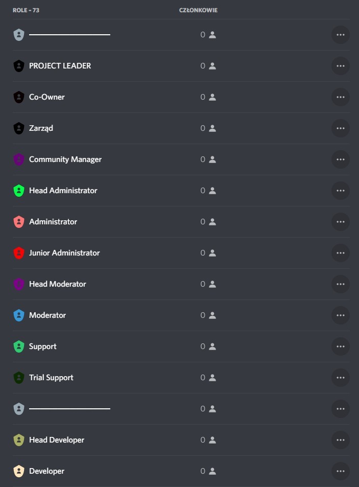 Gotowy szablon serwer Discord RP | Wodzisław Ślaski | Kup teraz na ...