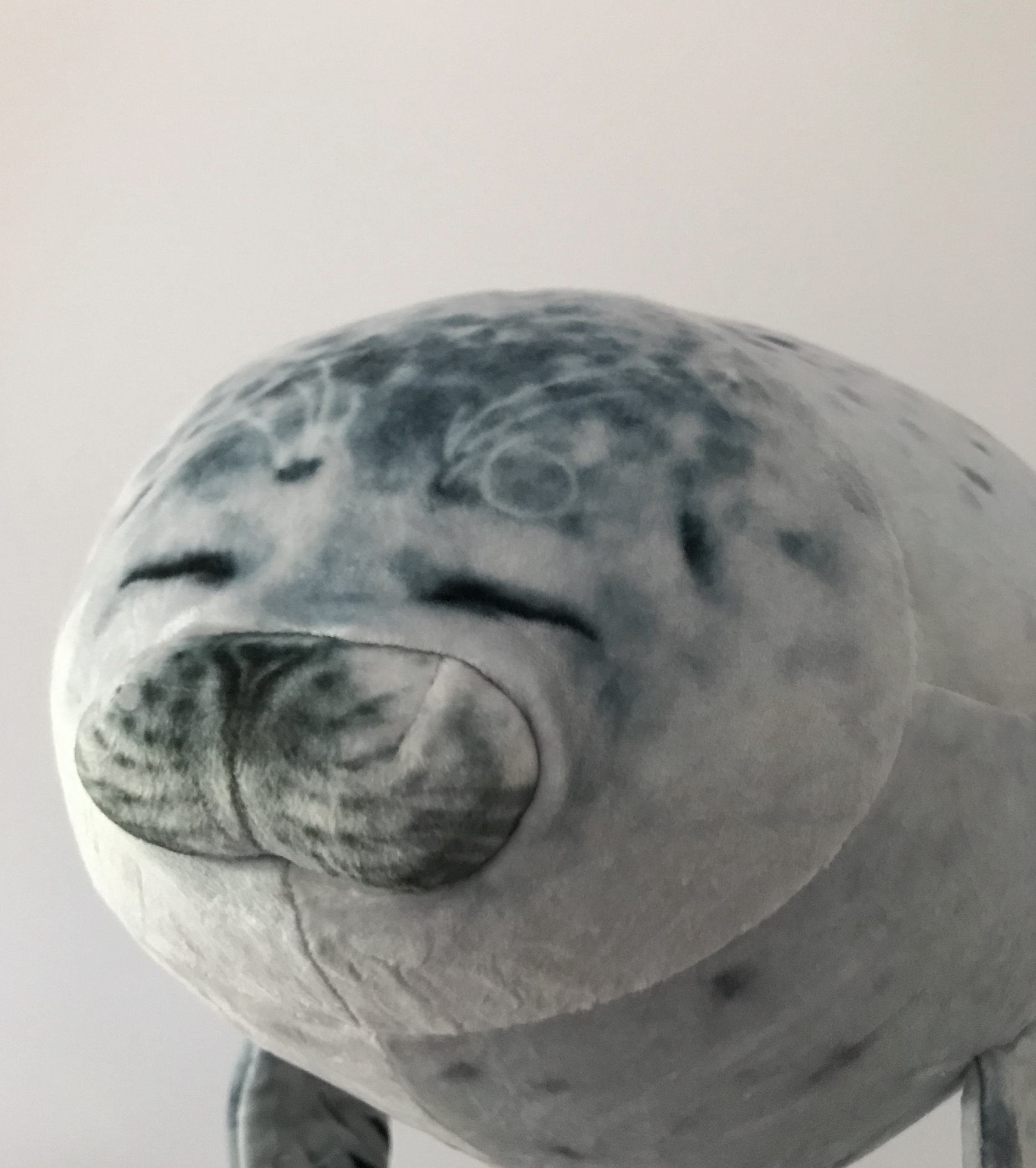 Pluszowa maskotka Plush Toy duża foka 60cm zabawka | Świnoujście | Kup ...