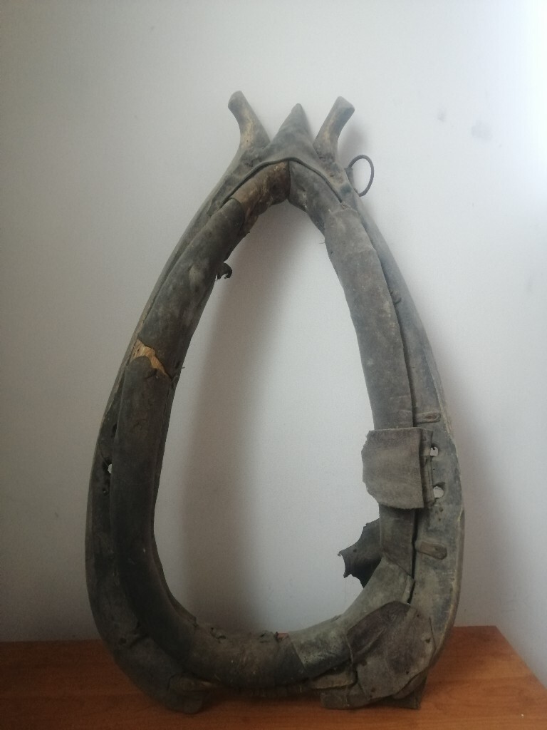 Homonto z Gór swiętokrzyskich | Kielce | Kup teraz na Allegro Lokalnie