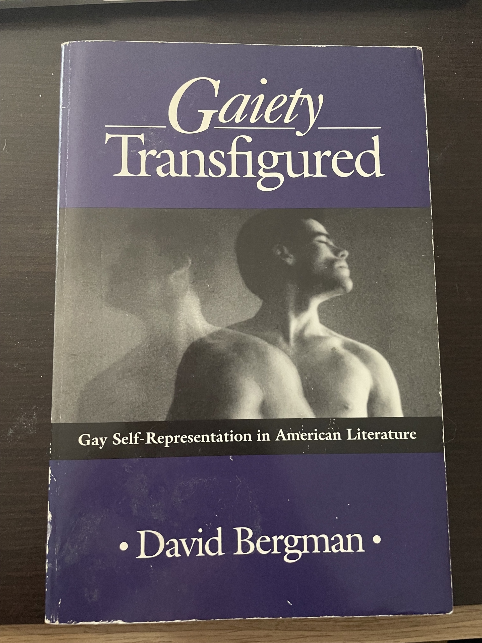 Gaiety Transfigured Gay Self-Representation | Warszawa | Kup teraz na ...