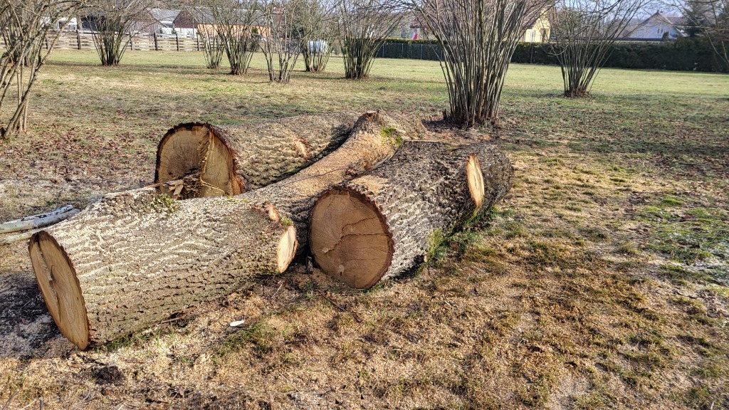 Bale Dębowe - Niska cena na Allegro.pl