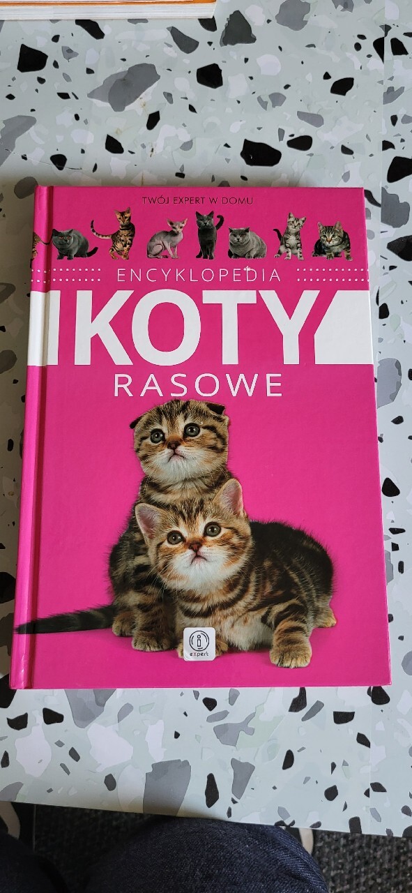 Koty rasowe książka | Perzów | Kup teraz na Allegro Lokalnie