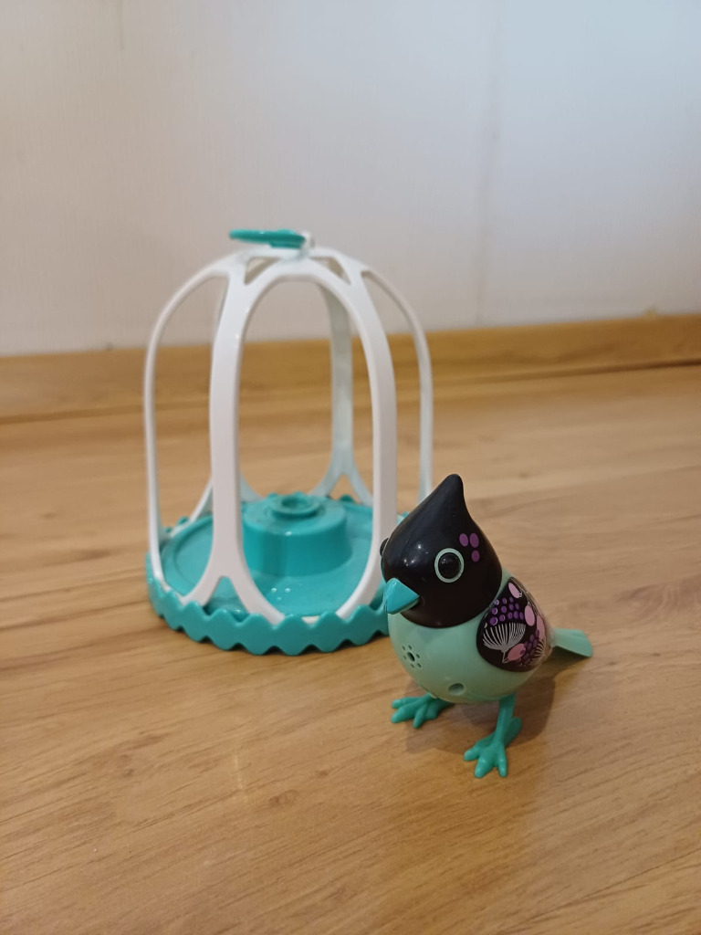 Digibirds - Niska cena na Allegro.pl