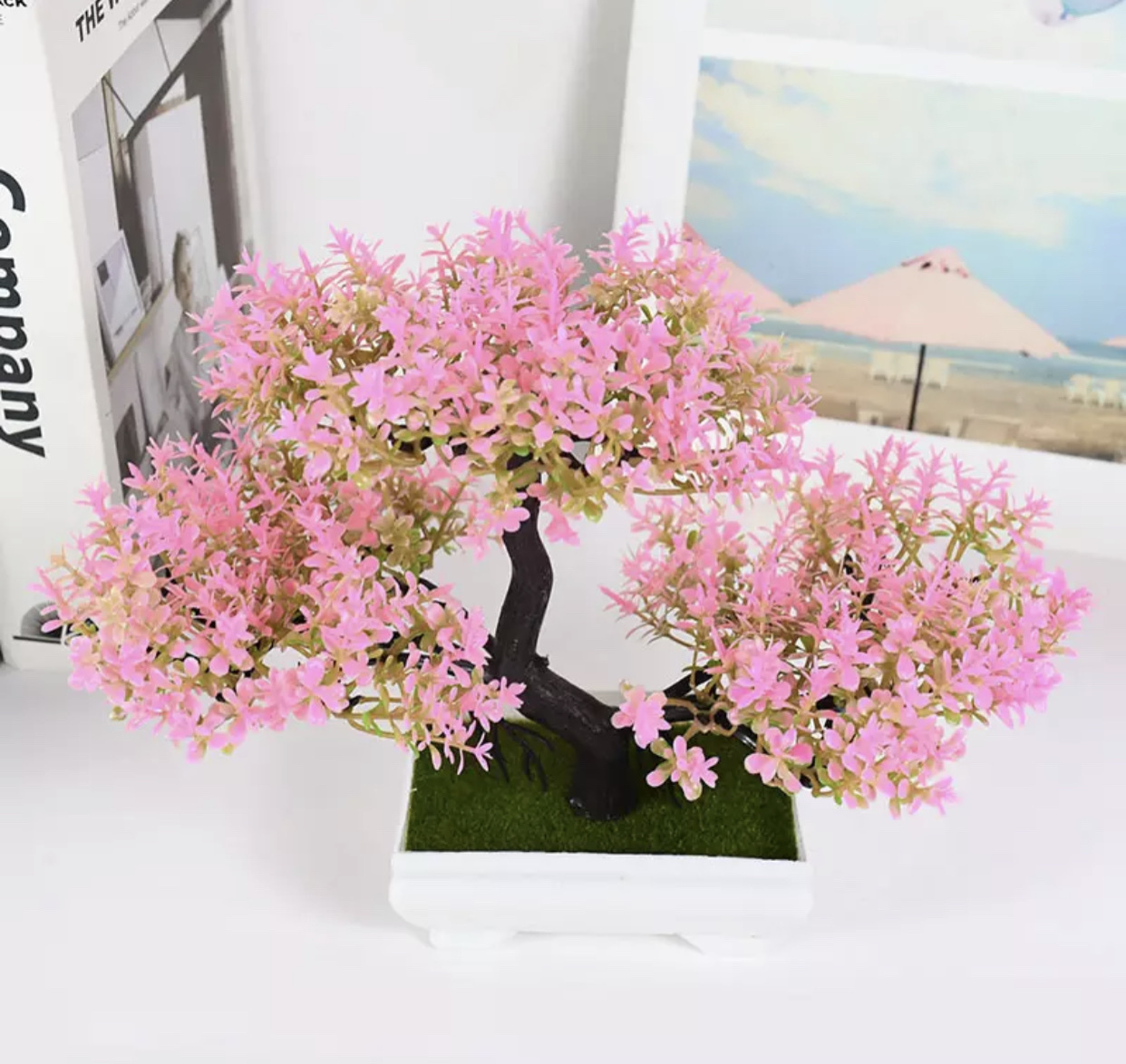 Japońskie Drzewko Bonsai Różowe | Ząb | Kup teraz na Allegro Lokalnie