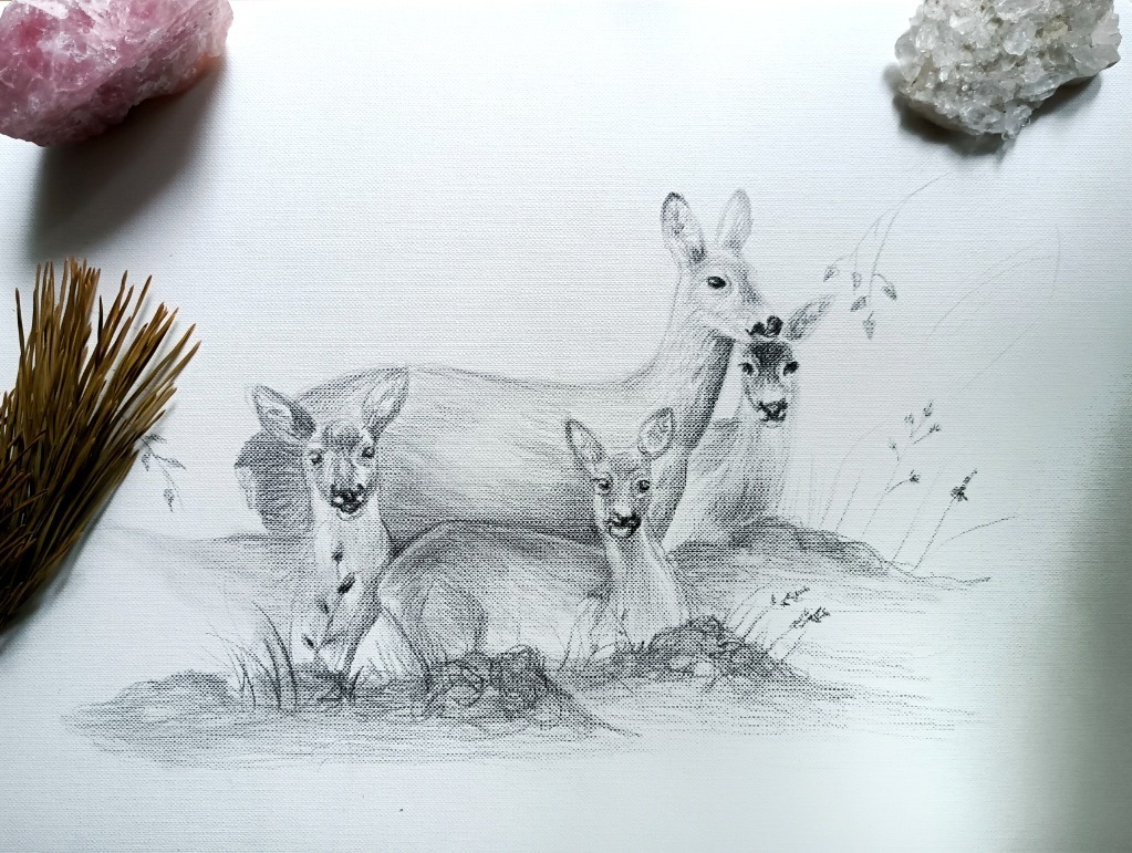 Obraz rysunek sarna szkic | Toruń | Kup teraz na Allegro Lokalnie