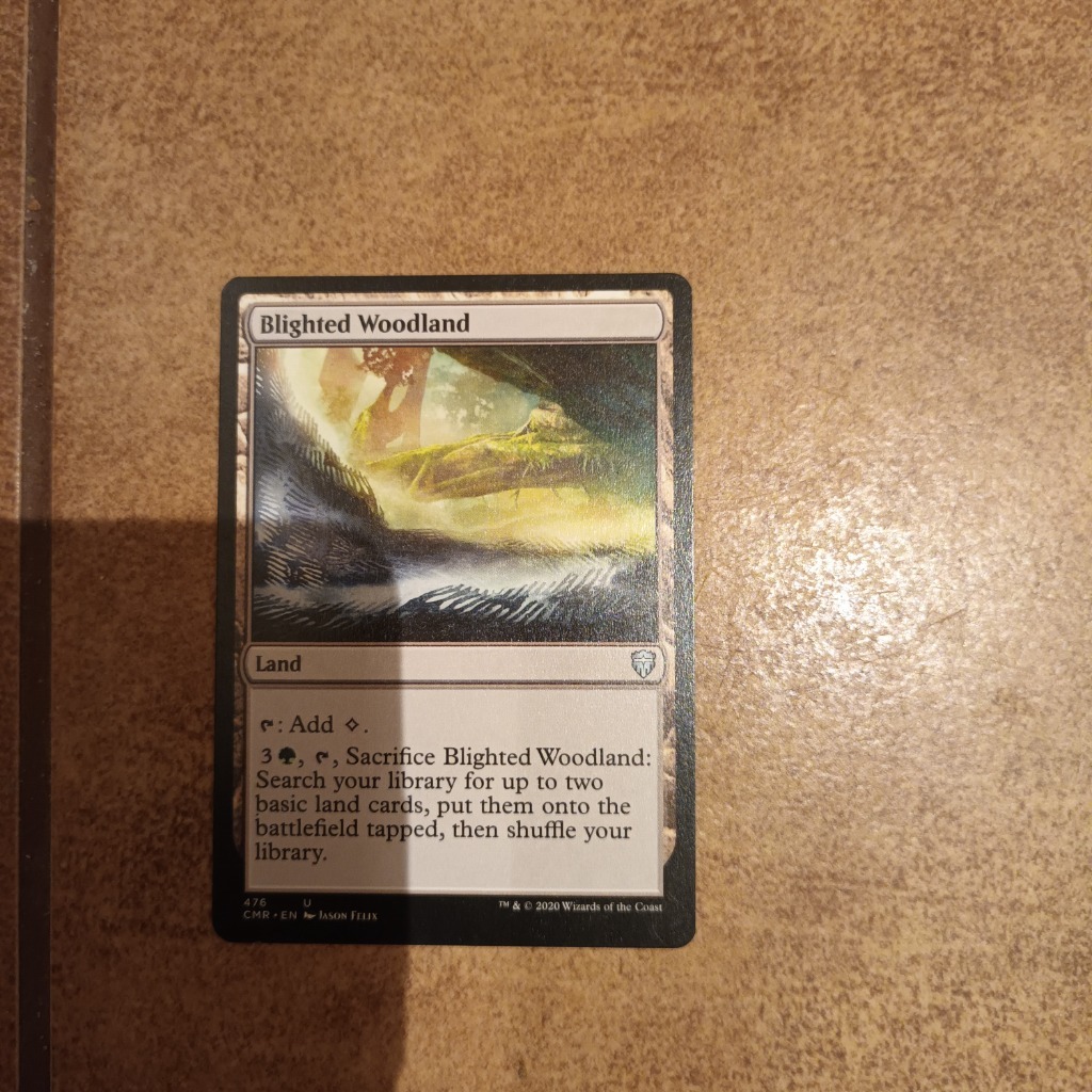 Blighted Woodland - MTG land | Warszawa | Kup teraz na Allegro Lokalnie