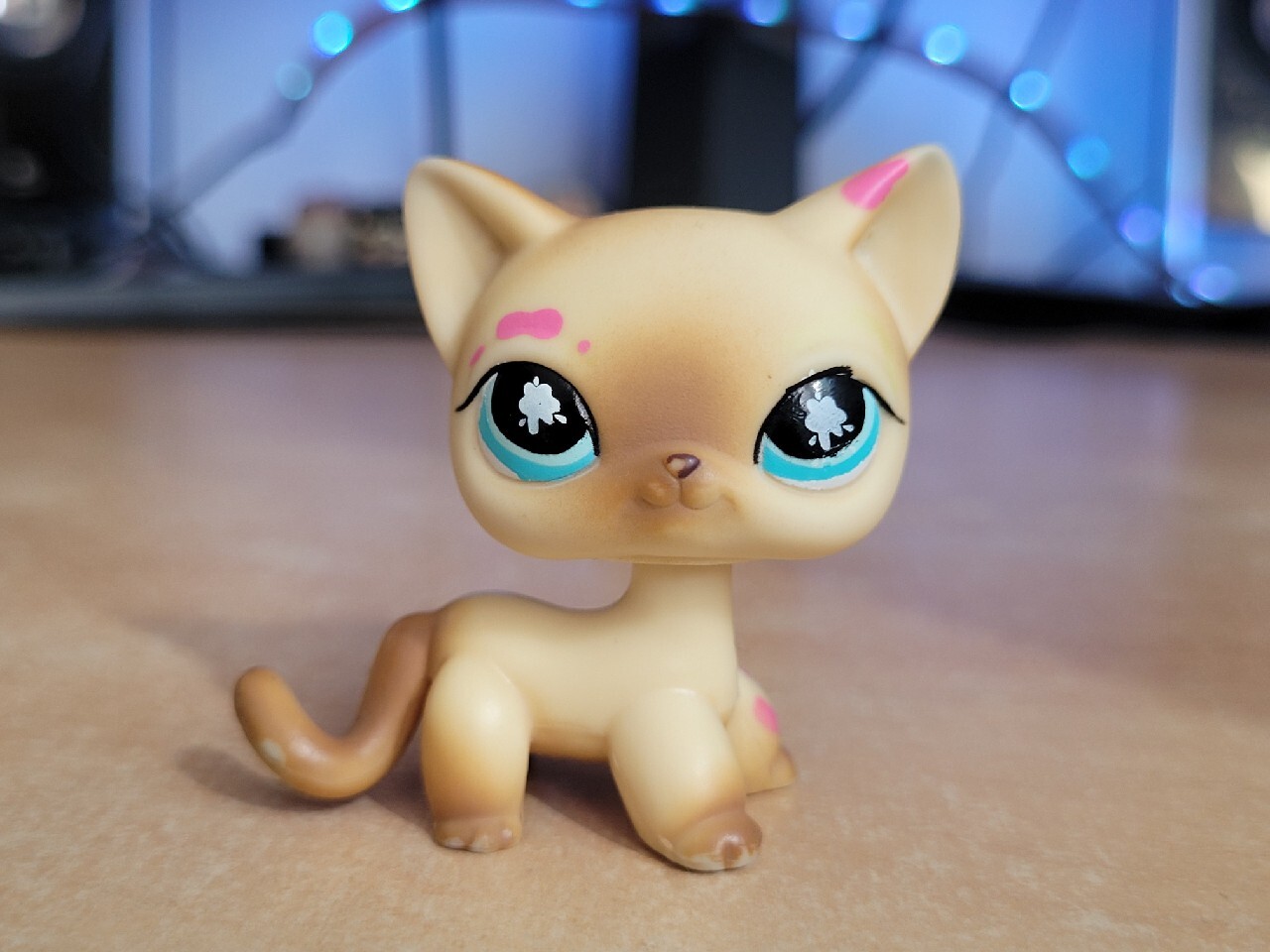 Lps Kotek - Niska cena na Allegro.pl