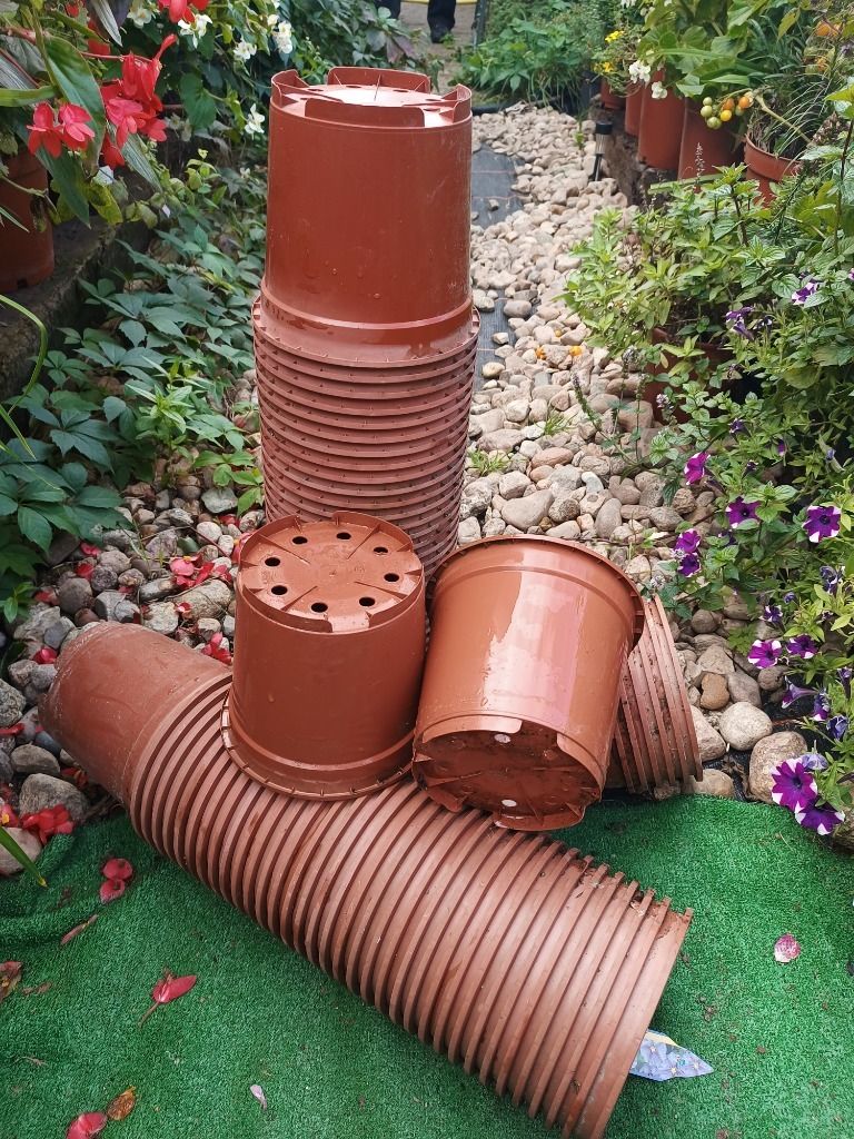 Doniczki produkcyjne Interco, Terakota | Imielno | Kup teraz na Allegro Lokalnie