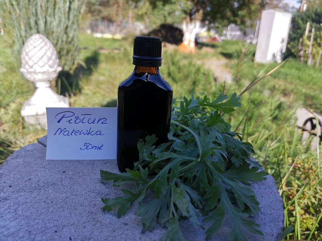 Nalewka z piołunu Piołunówka 200ml | Słup | Kup teraz na Allegro Lokalnie