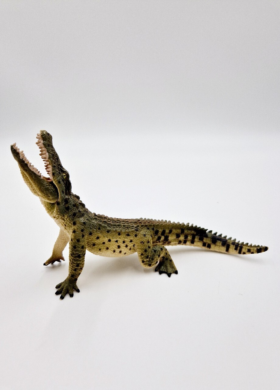 Krokodyl Nilowy figurka Collecta Nile Crocodile | Trzebnice | Kup teraz ...