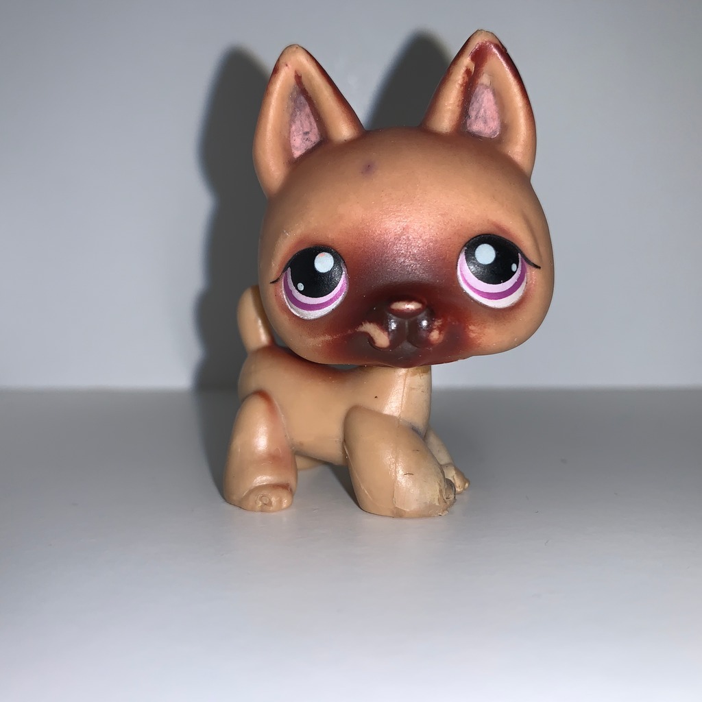 LPS LITTLEST PET SHOP PIES OWCZAREK NIEMIECKI #375 | Warszawa | Kup ...